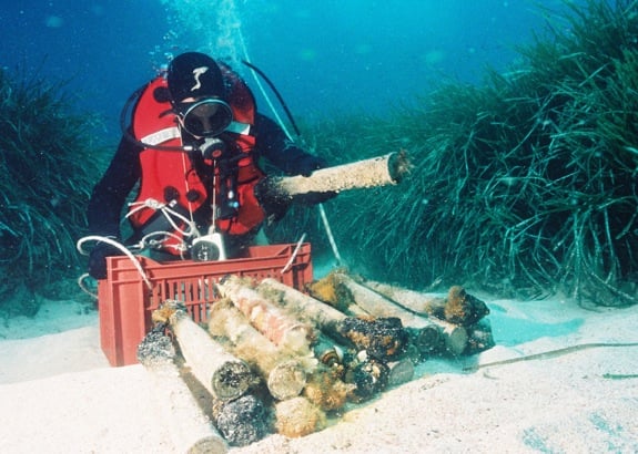 Métier : Infirmier plongeur hyperbariste | Mer et Marine