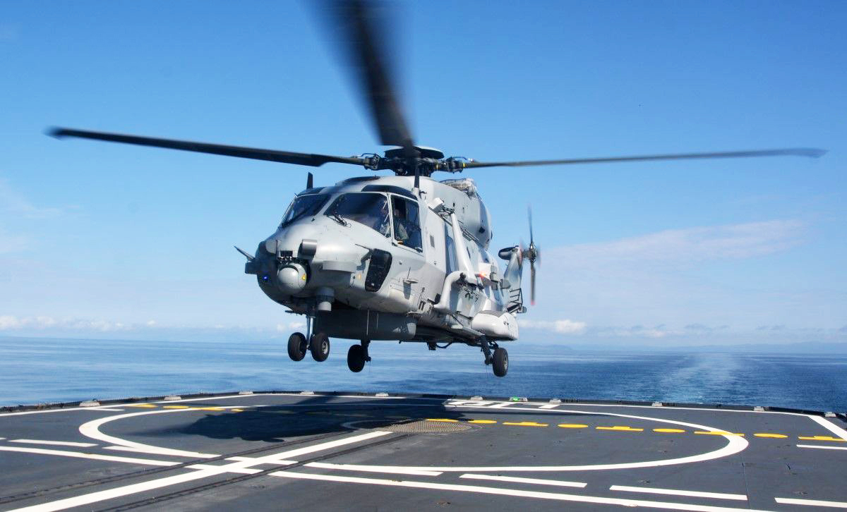 Caïman Marine : un parc trop juste à cause des indisponibilités ...