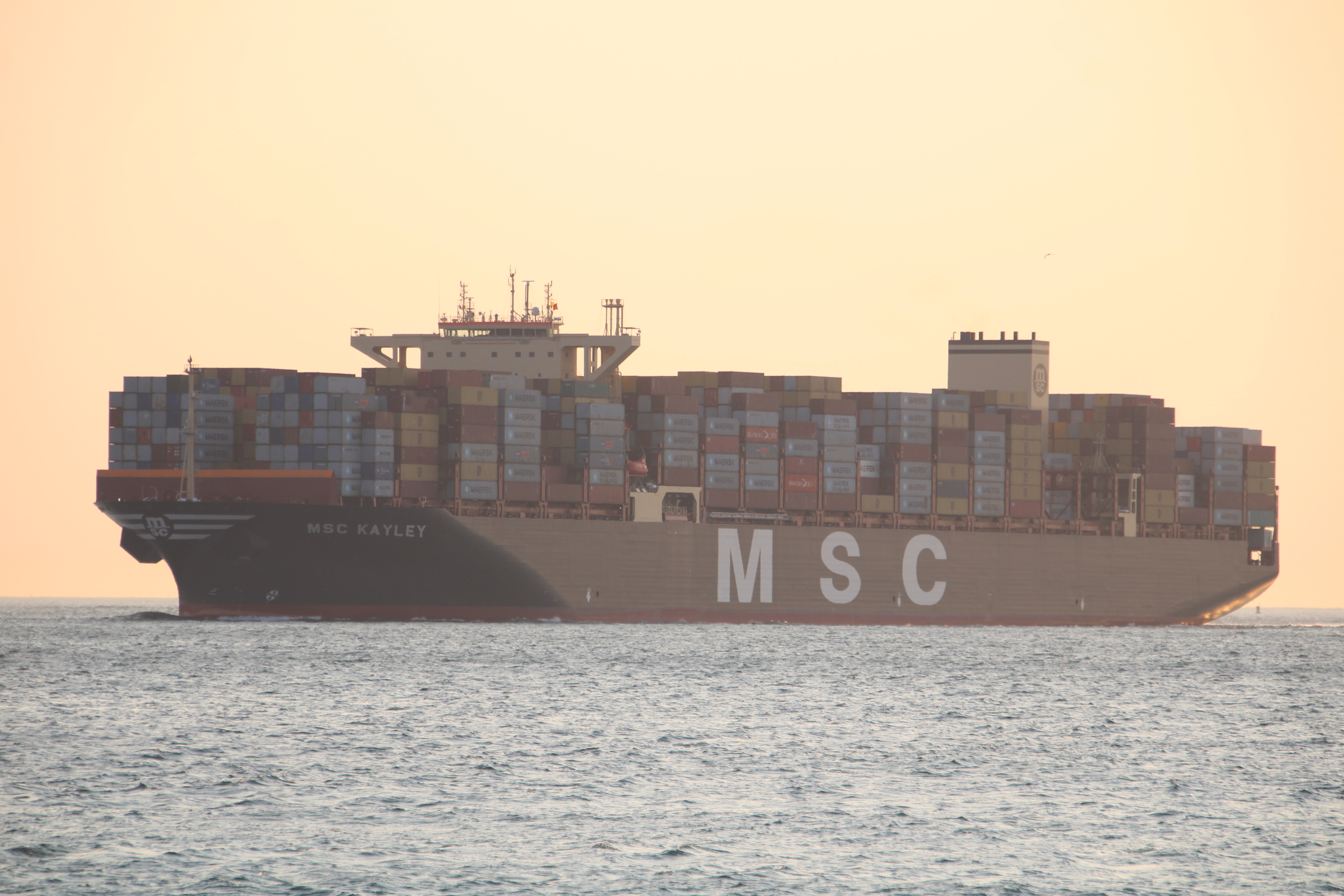Le Havre accueille un nouveau porte-conteneurs de MSC propulsé au GNL ...