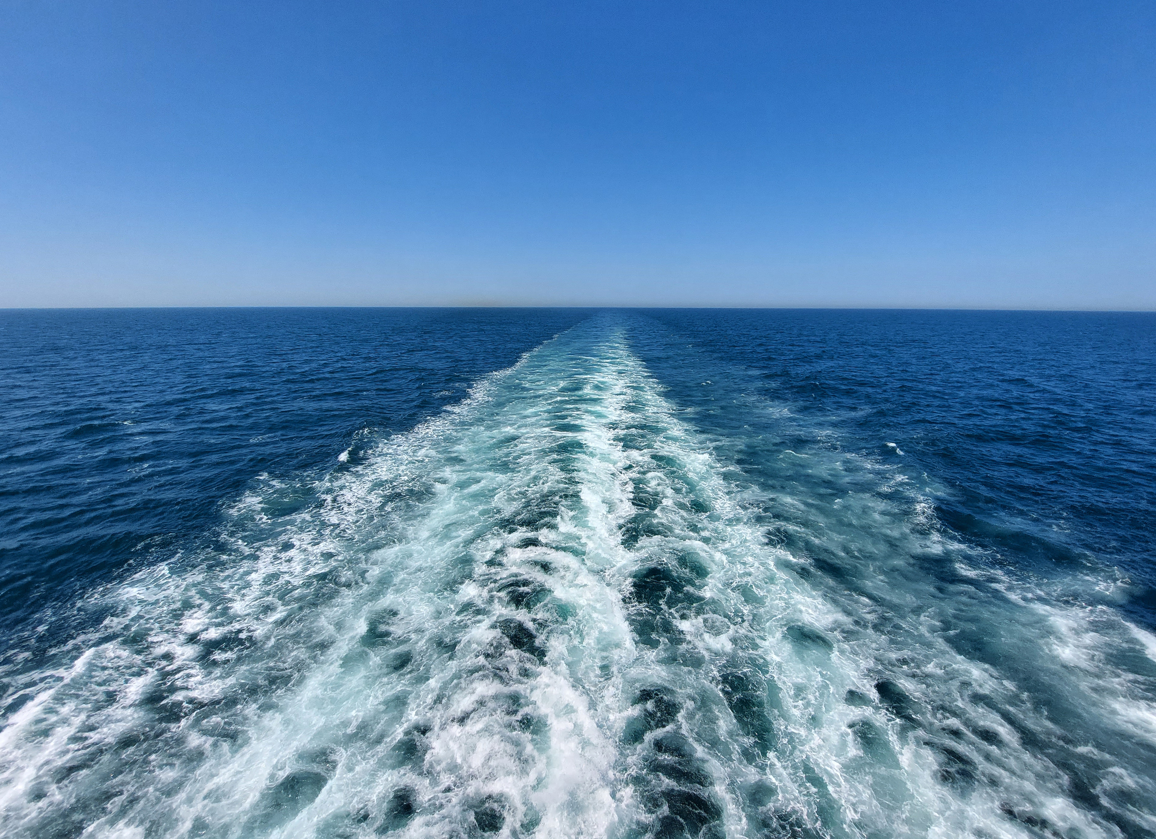 Ifremer : la 4ème édition du concours Octo’pousse est ouverte | Mer et ...