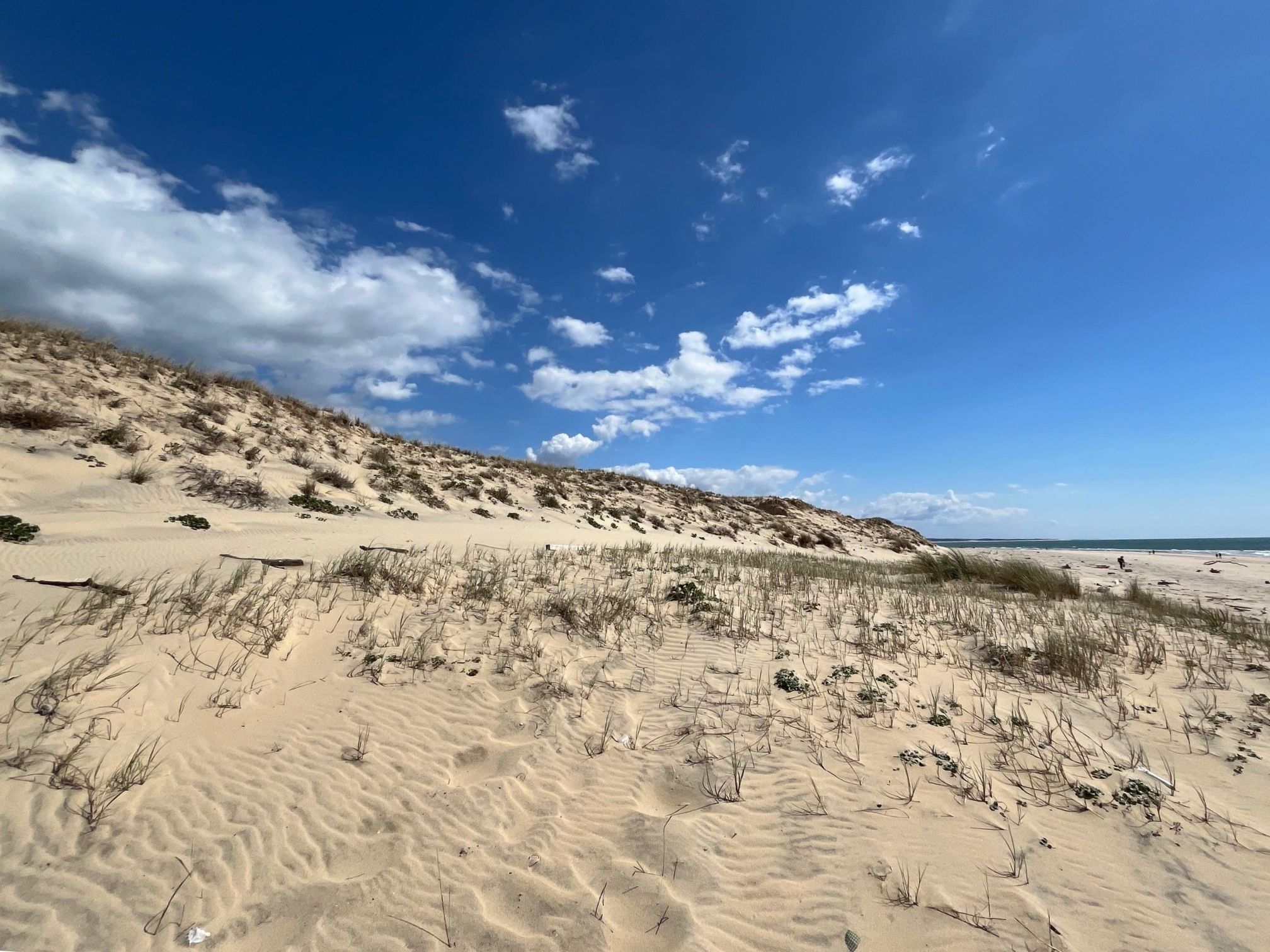 « Le littoral de ma commune », une application pour renforcer la ...
