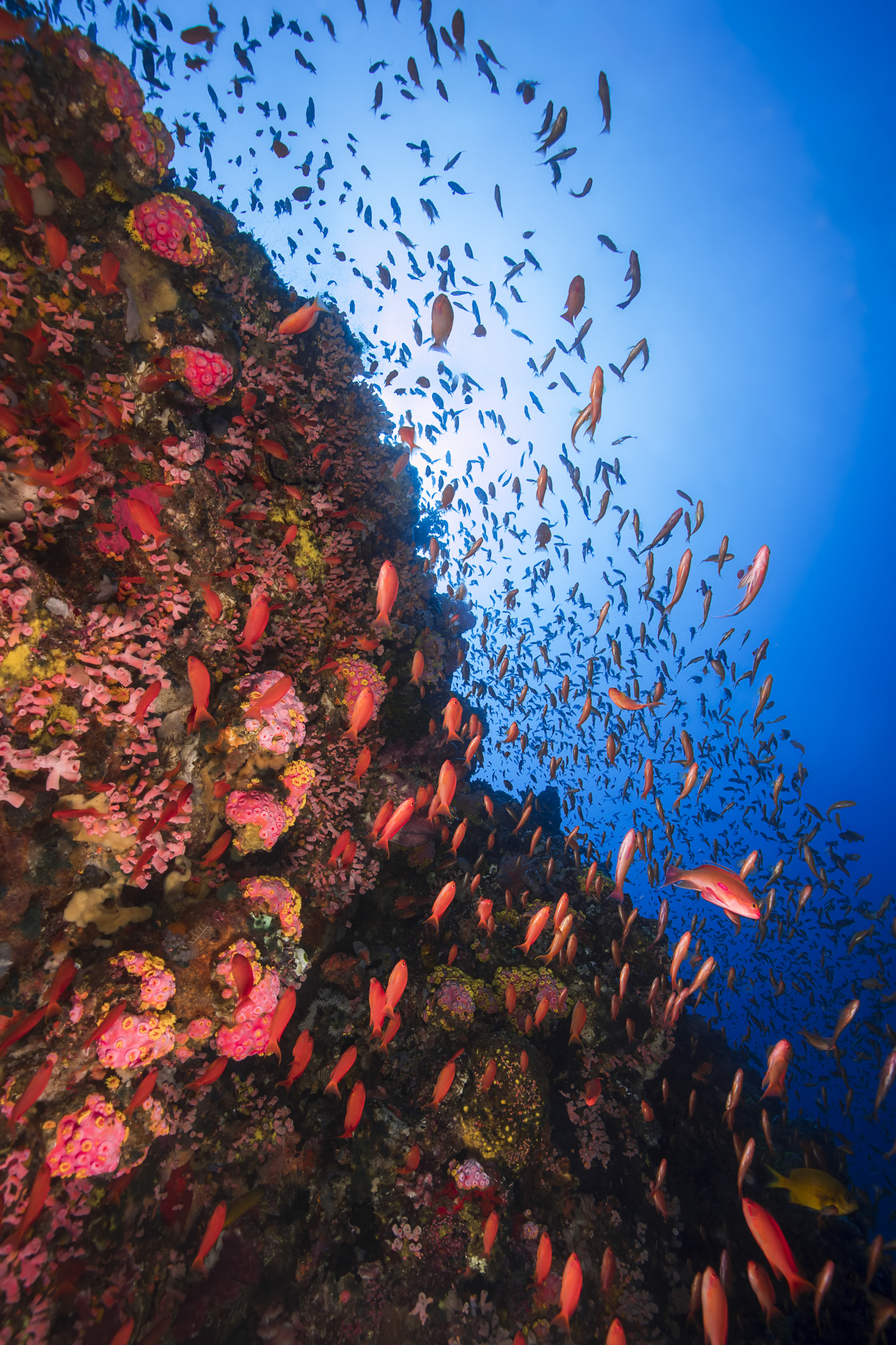 Le bureau de recherche océanographique et atmosphérique de la NOAA menacé de disparition | Mer ...