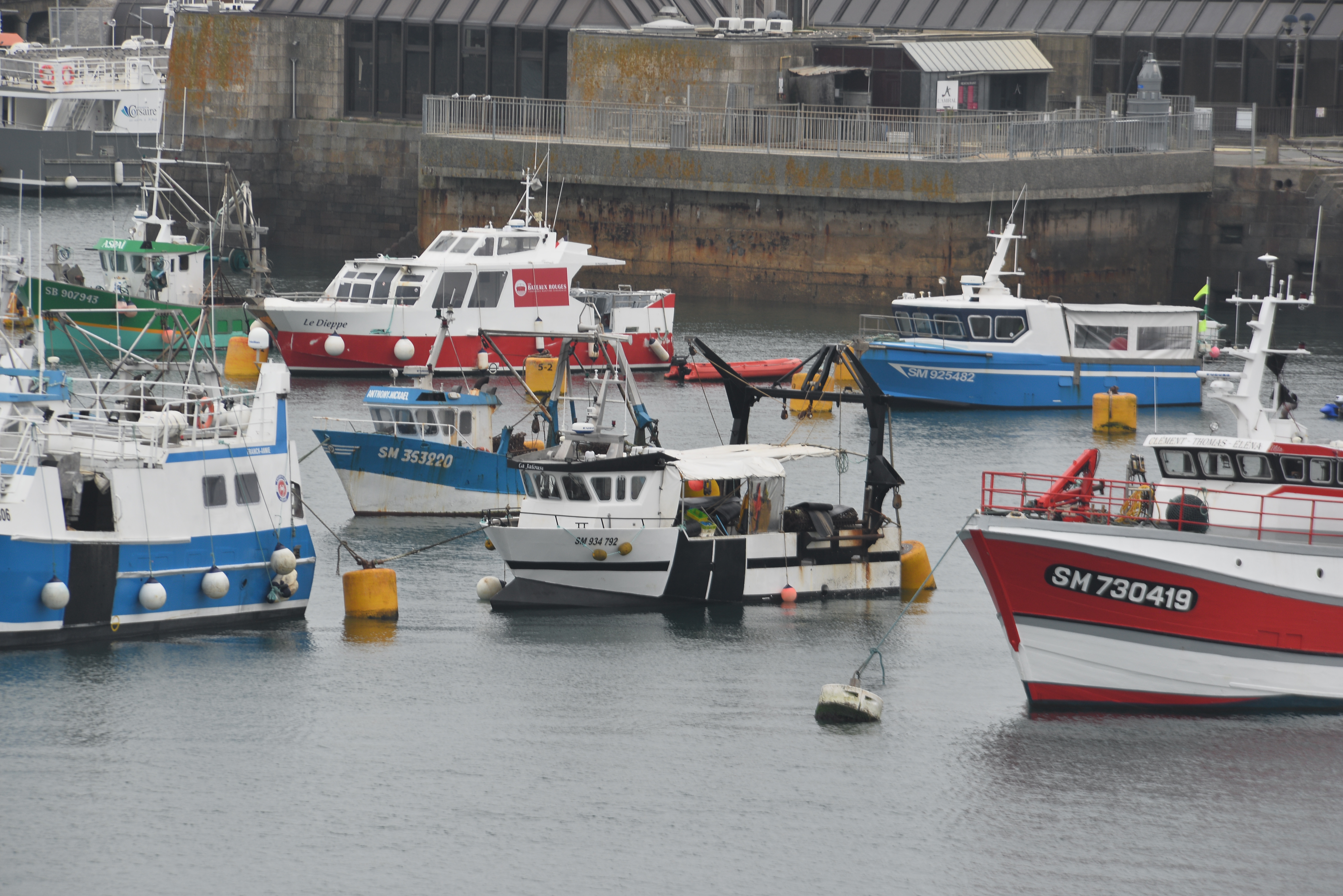 Les quotas de pêche, comment ça marche ? | Mer et Marine