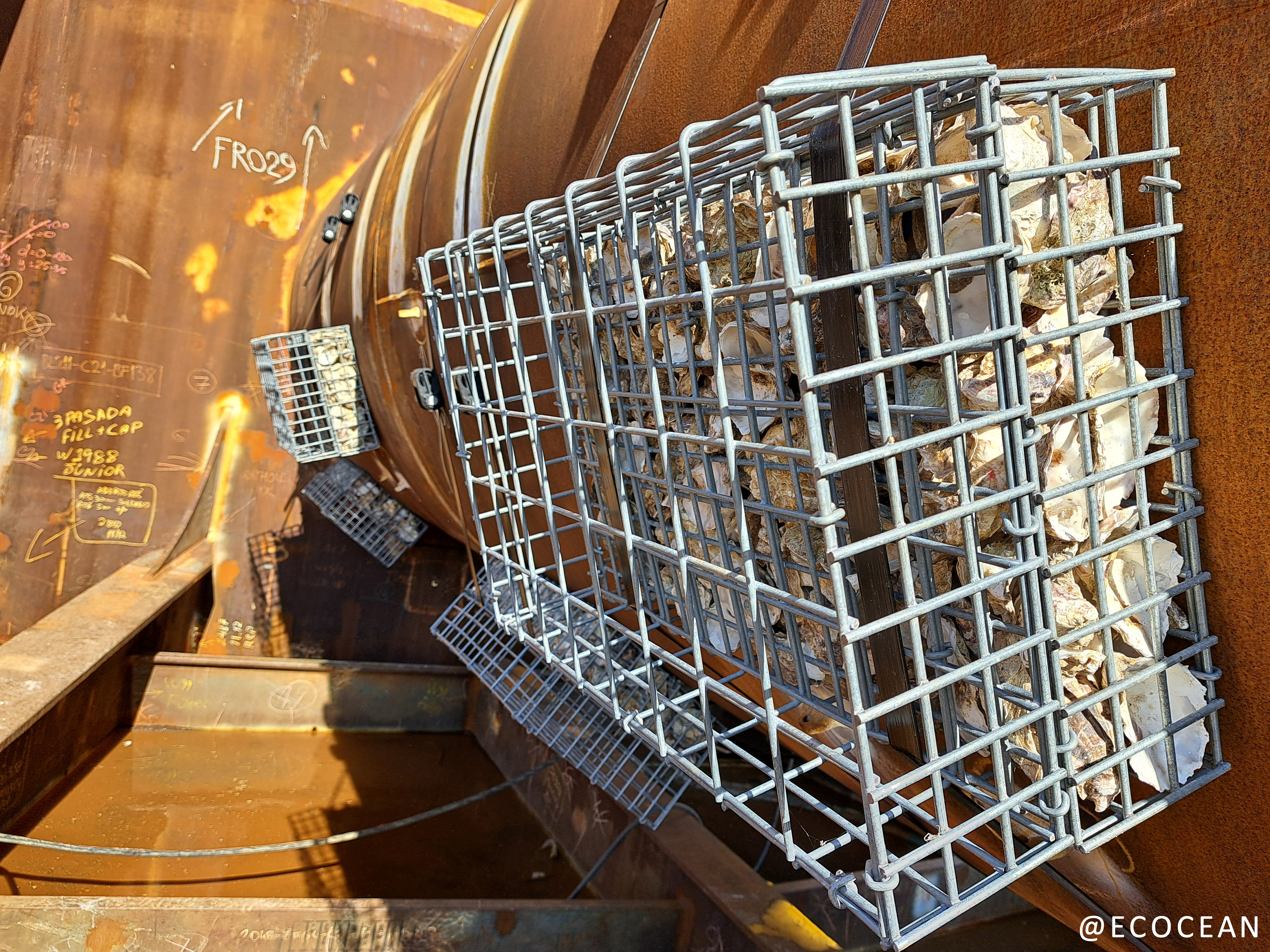 EFGL : des « biohuts » faisant office de nurseries sur les flotteurs d ...