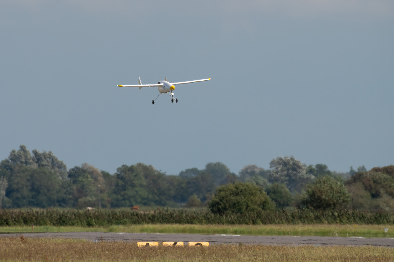 Un drone aérien surveille mammifères marins et oiseaux d’un parc éolien ...