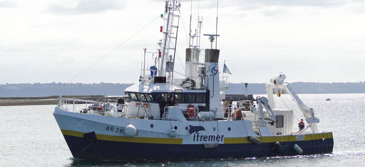 Le nouveau navire océanographique semi-hauturier de l'Ifremer construit ...