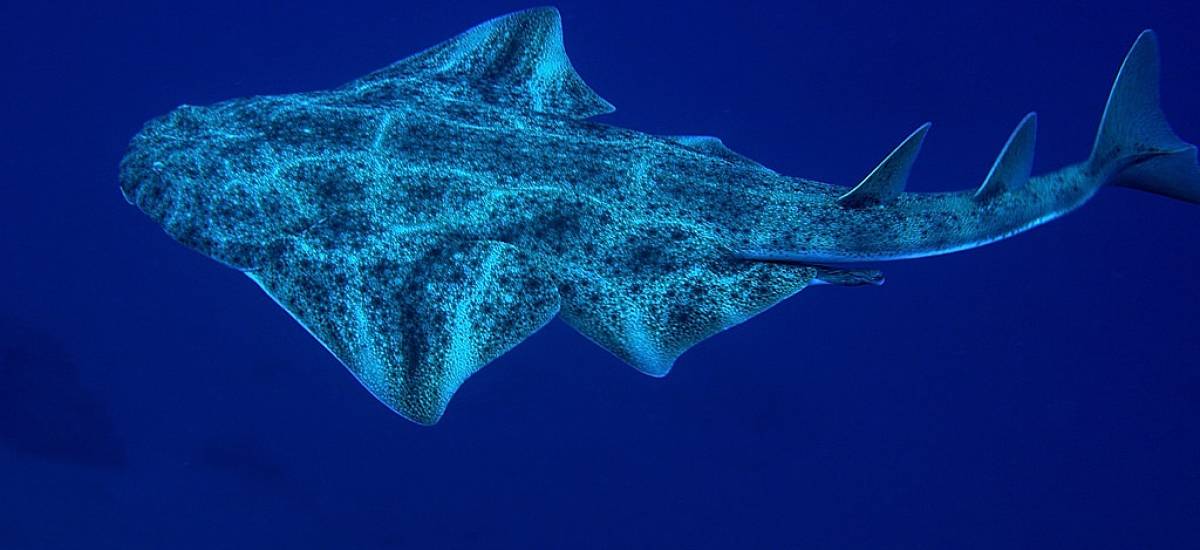 Une nouvelle étude mondiale révèle un risque sans précédent d ...