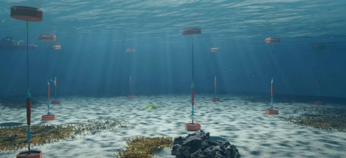 Suède : Ocean Harvesting veut tester en mer son houlomoteur InfinityWEC ...