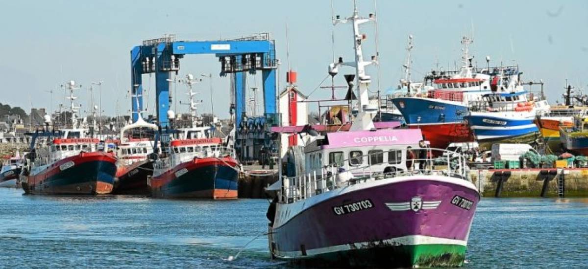 Zones de pêche fermées au Royaume-Uni : un impact 18 fois supérieur ...