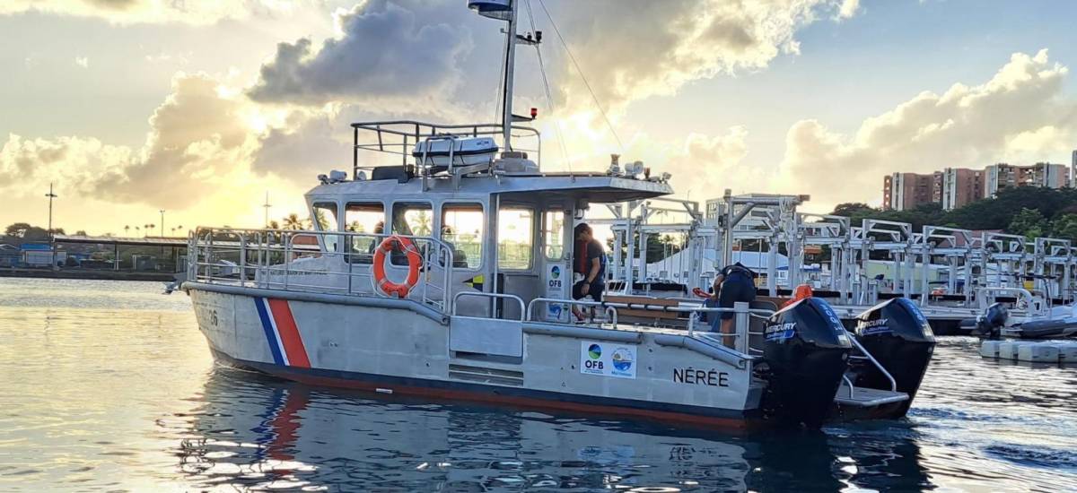 Parc marin de Martinique : la nouvelle vedette Nérée de l'OFB à poste ...