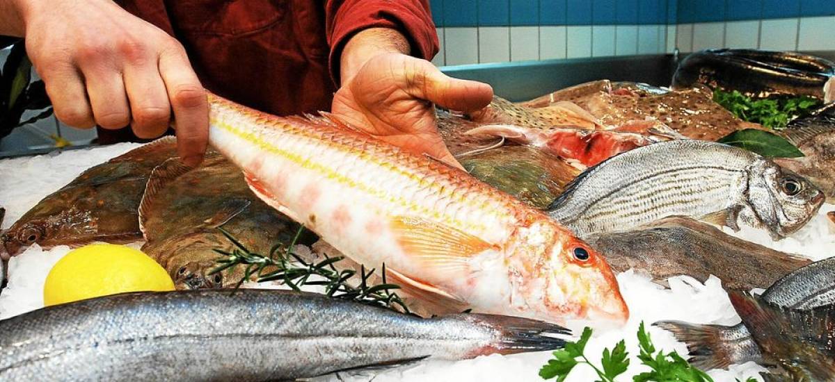 Pourquoi le poisson étranger a davantage profité de l’inflation | Mer ...