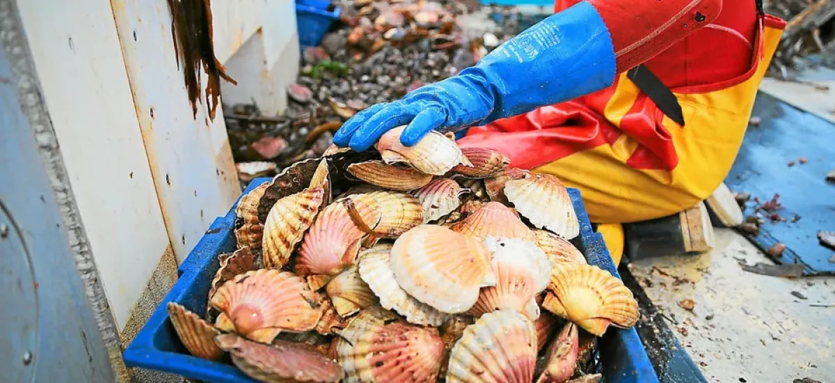 « Un exemple de gestion durable » : embarquement avec les pêcheurs à la ...