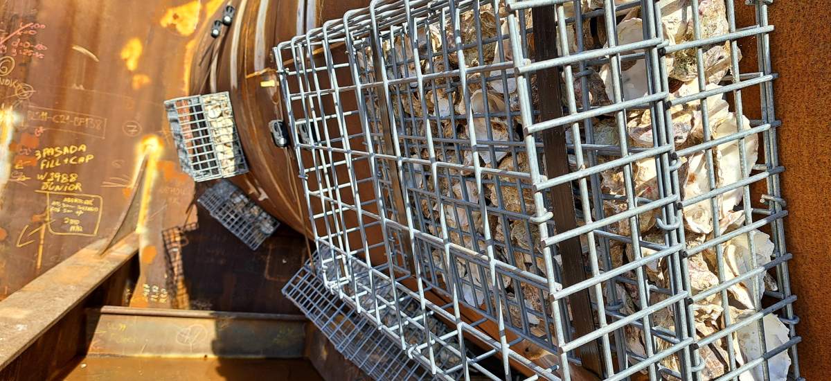 EFGL : des « biohuts » faisant office de nurseries sur les flotteurs d ...