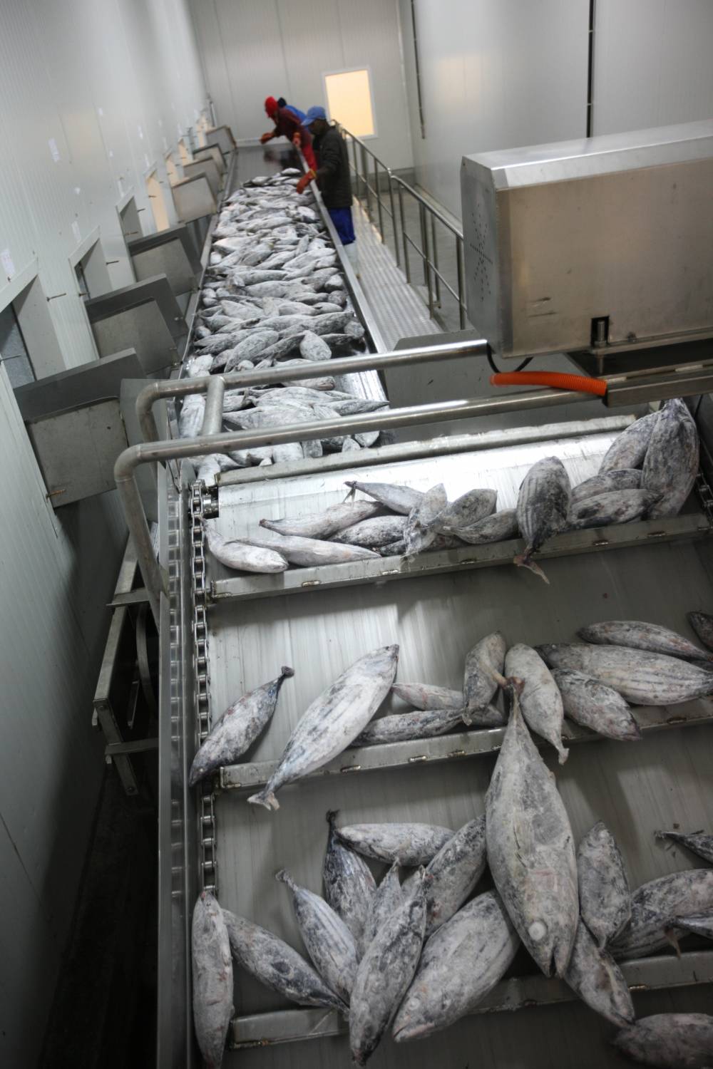 SAPMER renforce ses moyens logistiques et industriels à Maurice | Mer ...