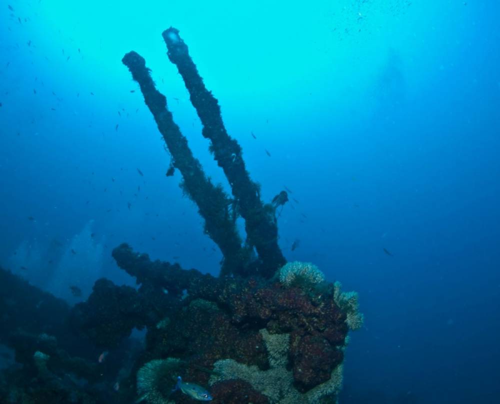 Port-Vendres : Opération de déminage sur l’épave de l’Alice Robert ...