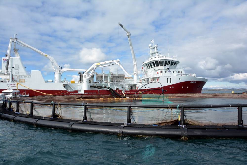 Havyard : La diversification avec une longueur d'avance | Mer et Marine