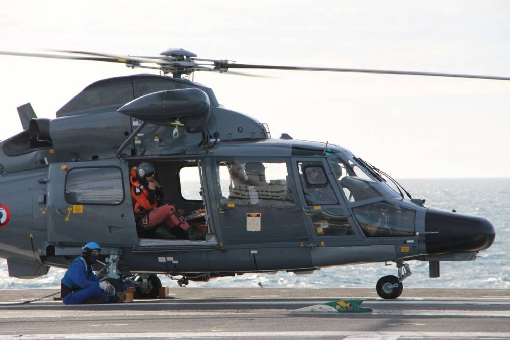 Dauphin Pedro : Le Saint-Bernard des pilotes | Mer et Marine