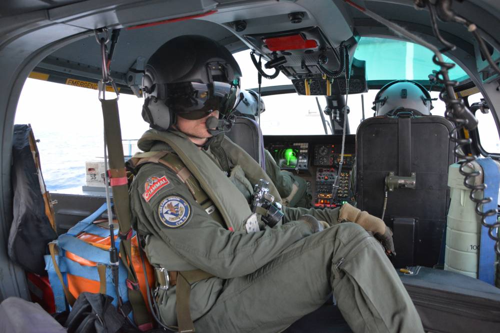 Dauphin Pedro : Le Saint-Bernard des pilotes | Mer et Marine