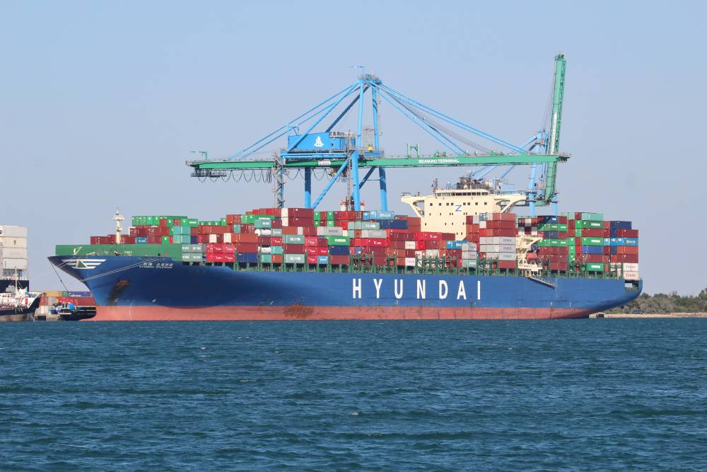 Le MSC Elaine s'échoue brièvement dans le port de Gioia Tauro | Mer et ...