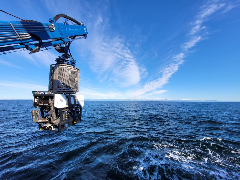 Marine nationale : Exail et LD Travocean vont fournir l’AUV et le ROV ...