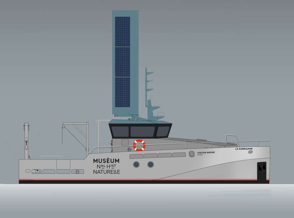 Cormoran : la nouvelle voile solaire française | Mer et Marine