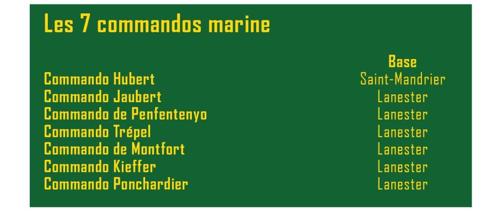 La Force des fusiliers marins et commandos | Mer et Marine