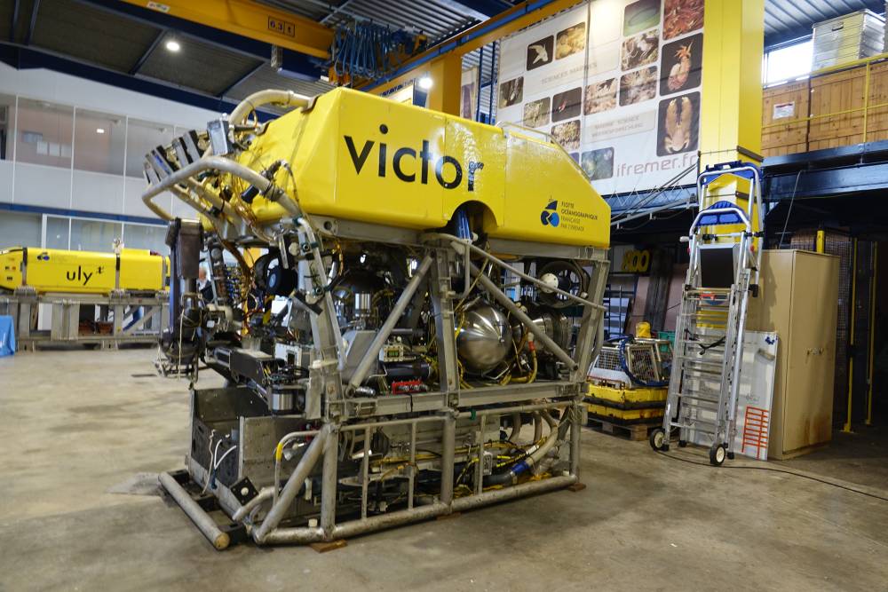 La Seyne-sur-Mer : l’Ifremer ouvre les portes de son centre de la ...