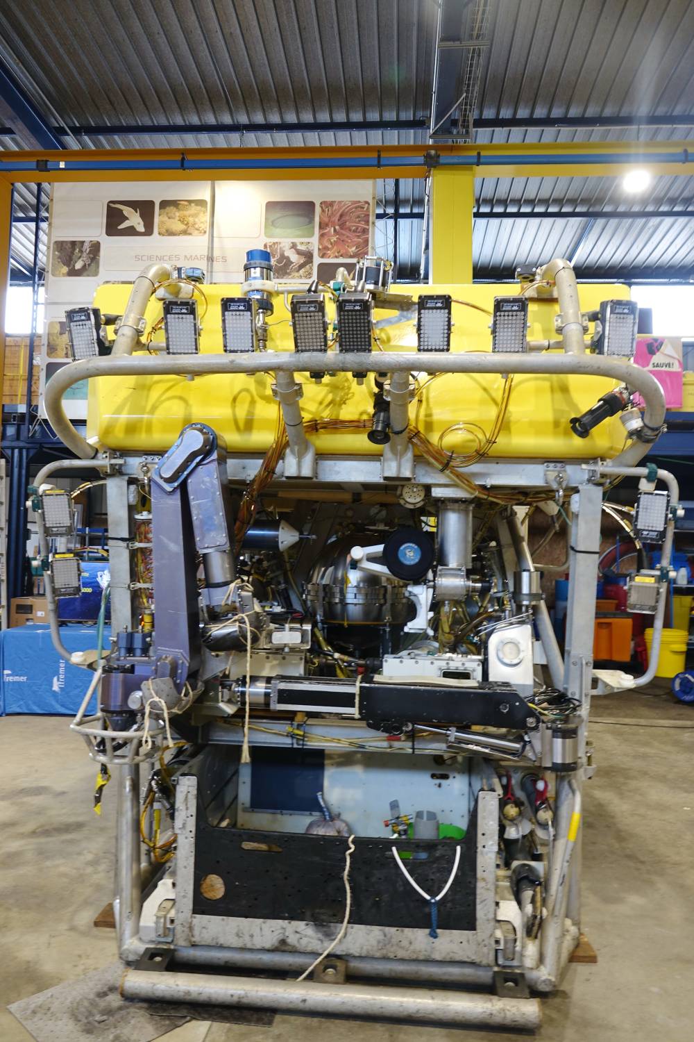 La Seyne-sur-Mer : l’Ifremer ouvre les portes de son centre de la ...