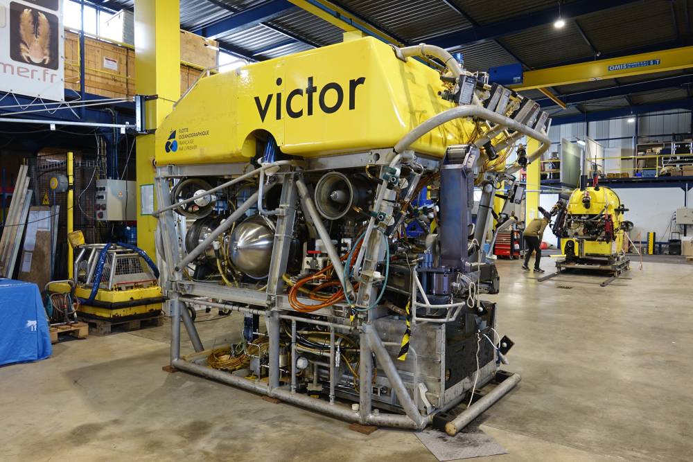 La Seyne-sur-Mer : l’Ifremer ouvre les portes de son centre de la ...