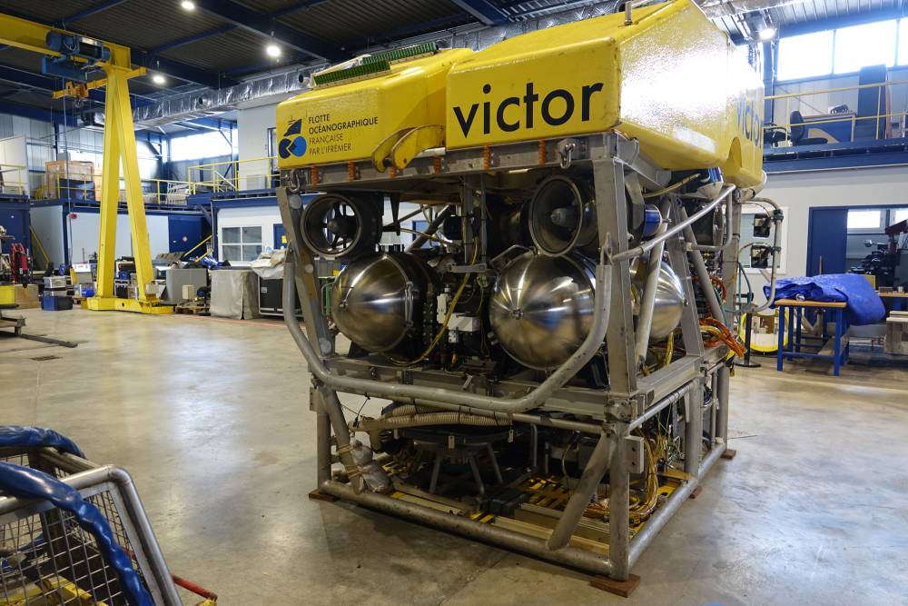 La Seyne-sur-Mer : l’Ifremer ouvre les portes de son centre de la ...