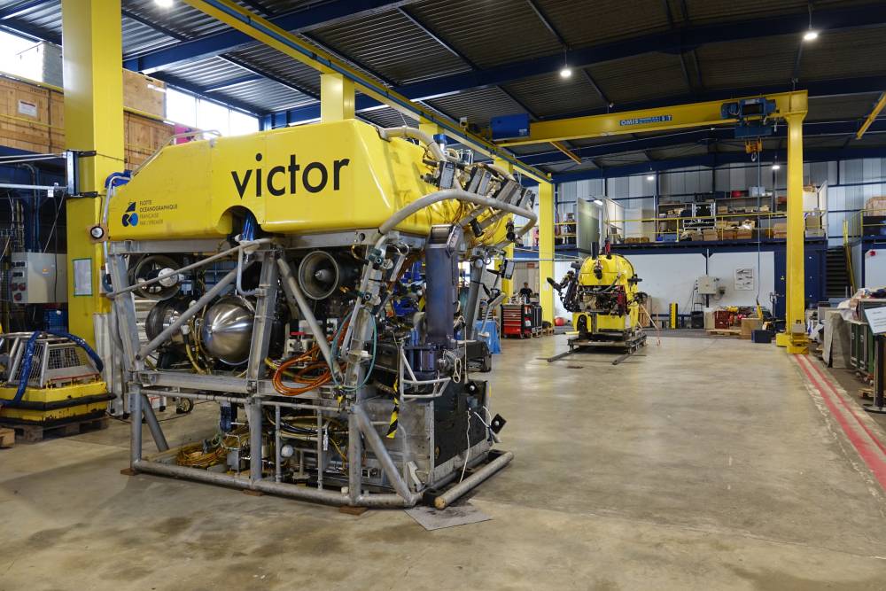 La Seyne-sur-Mer : l’Ifremer ouvre les portes de son centre de la ...