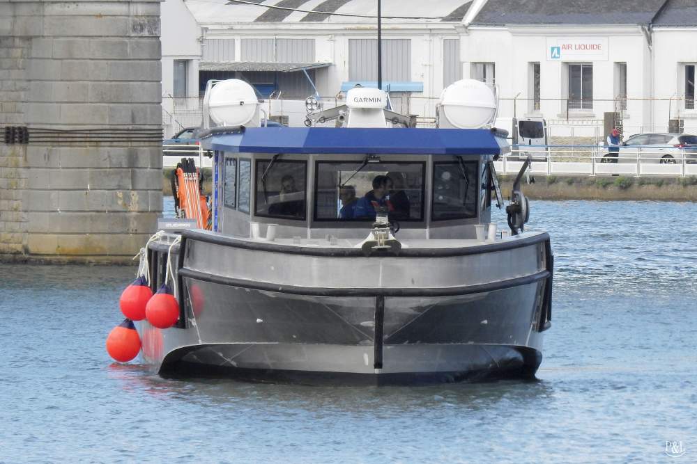 Spered Skorf : la nouvelle vedette de support à la plongée réalisée par ...