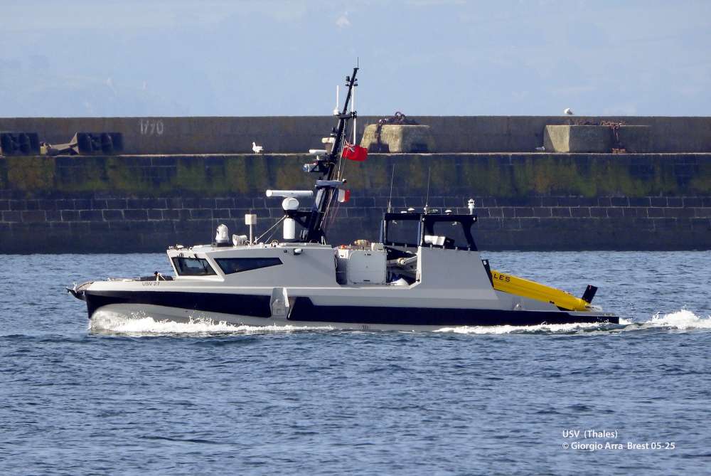 Marine nationale : report des BGDM et navire civil pour déployer les ...