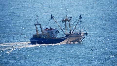 Mer et Marine - Actualités maritimes, défense, marine marchande